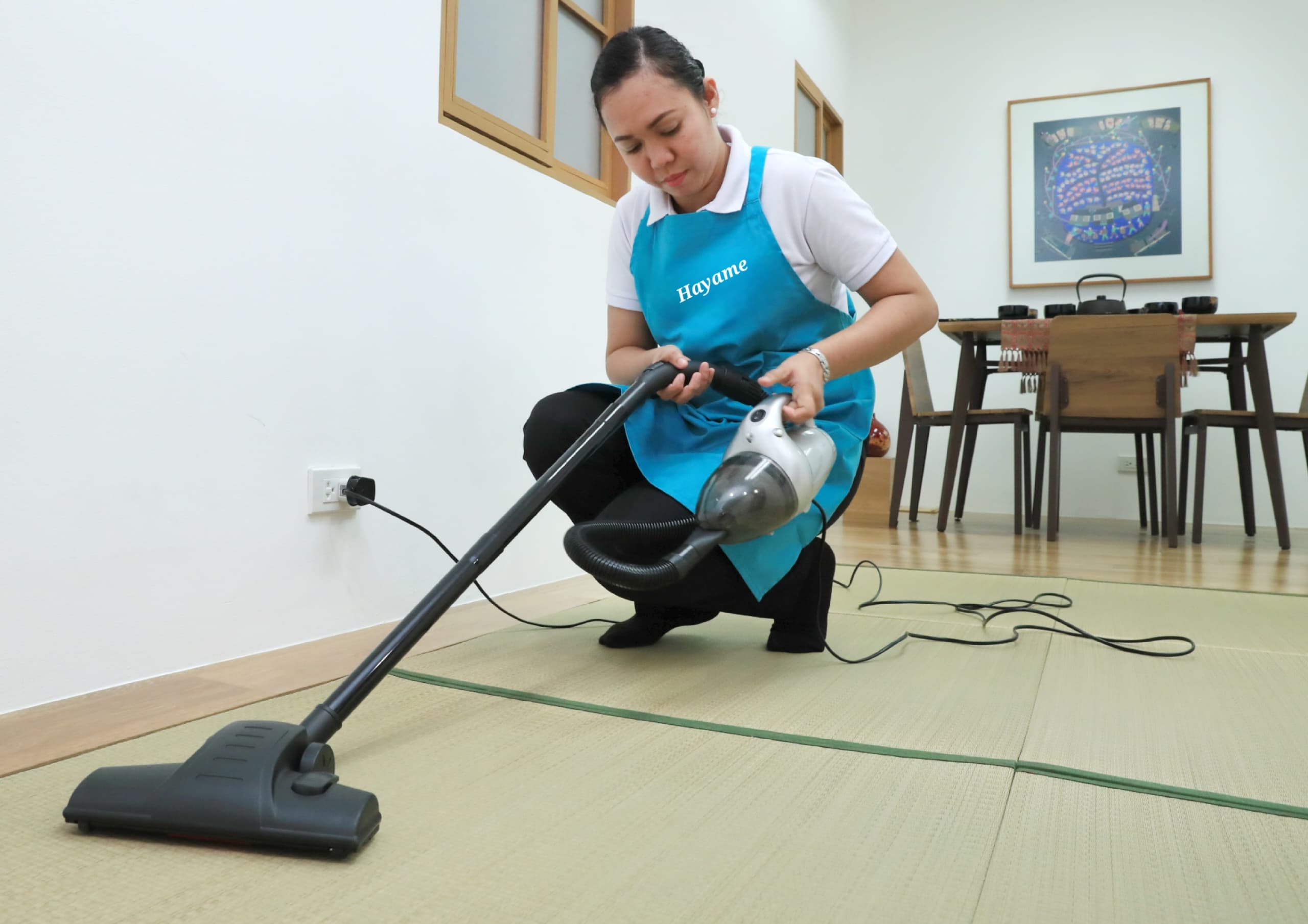 Hayame Cleaner Cleaning Room